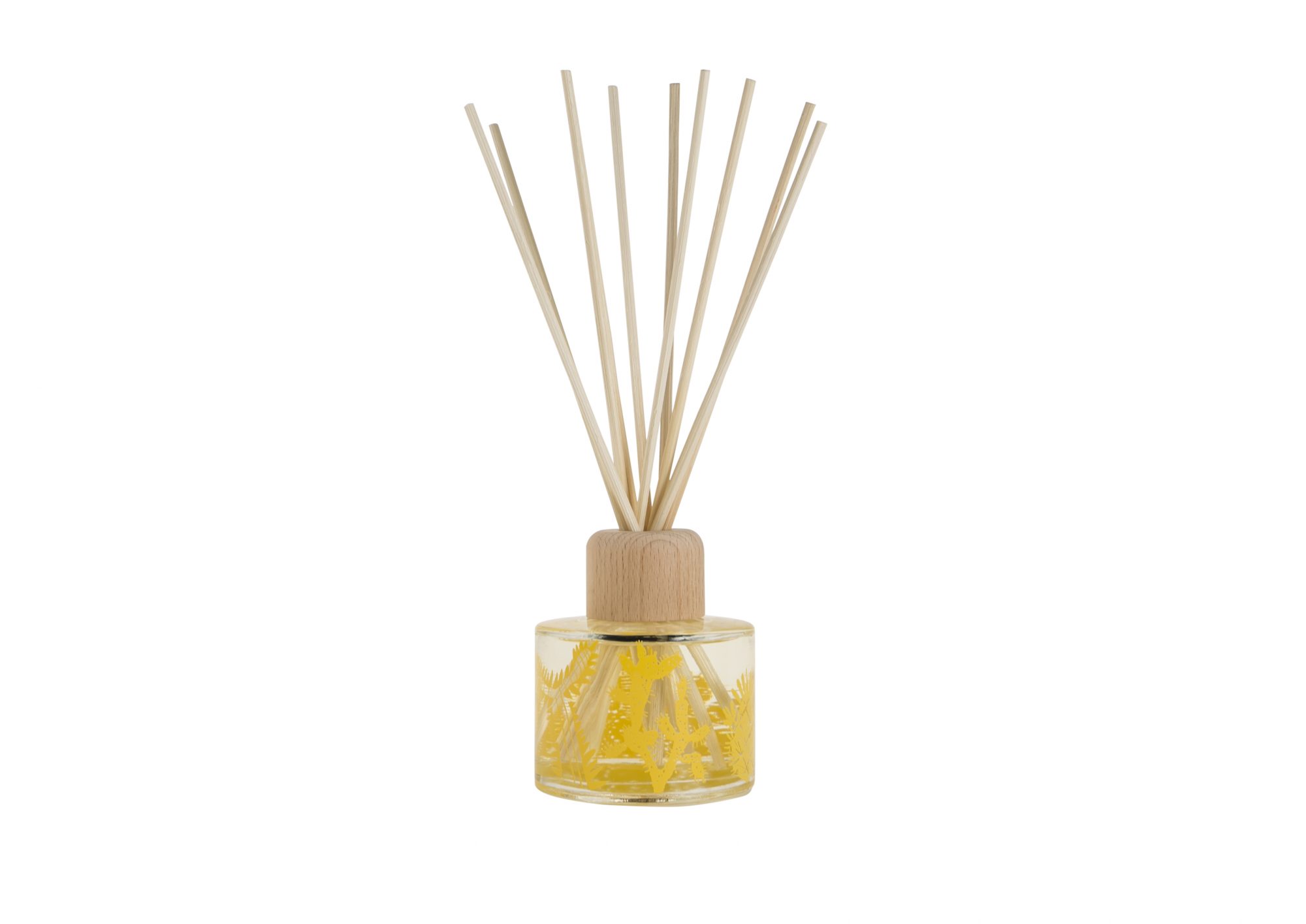 Cactus Reed Diffuser Wisteria, White Tea & Orange | Buy Online Here ...