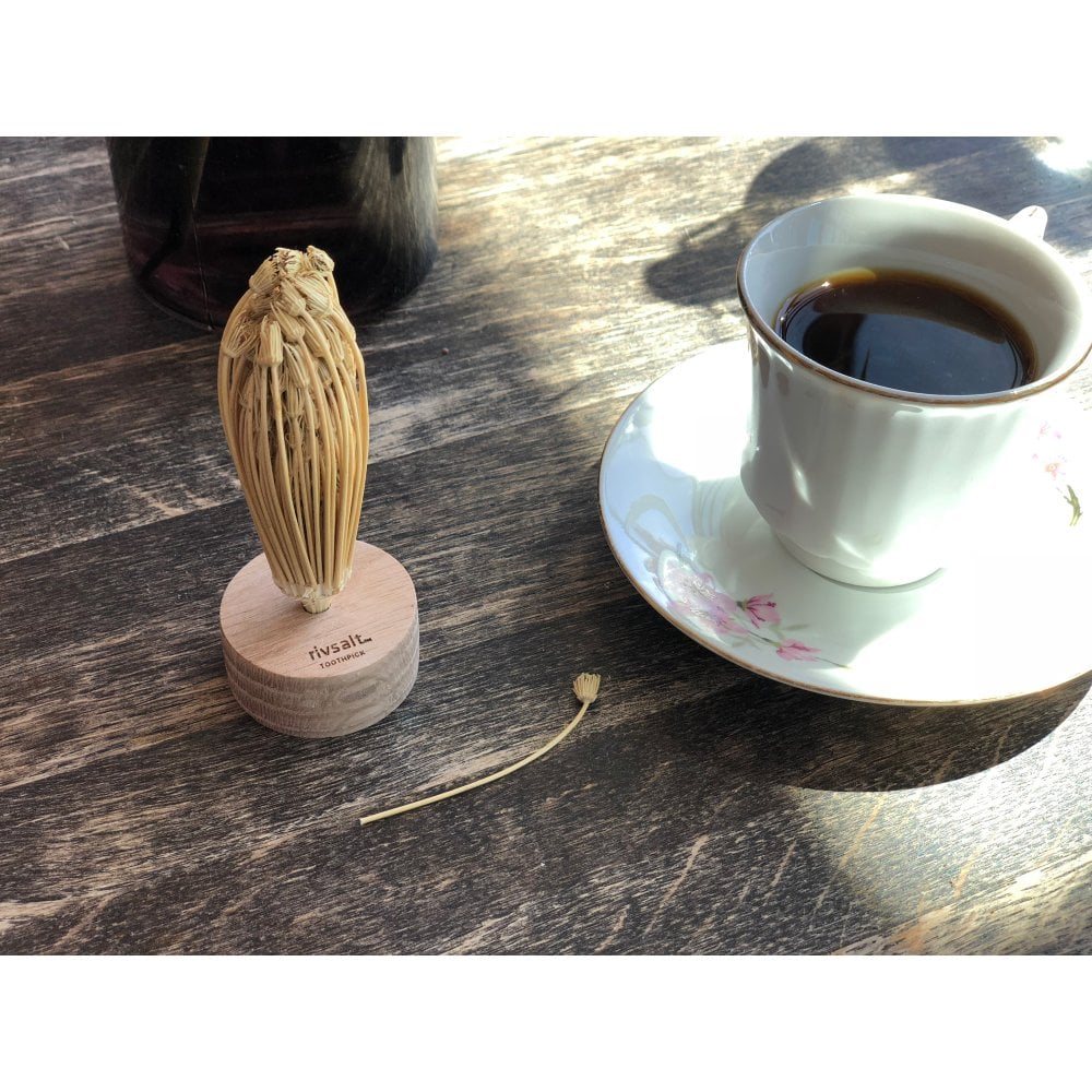 RIVSALT Moroccan Flower Toothpick Gift Set | At Portmeirion Online ...