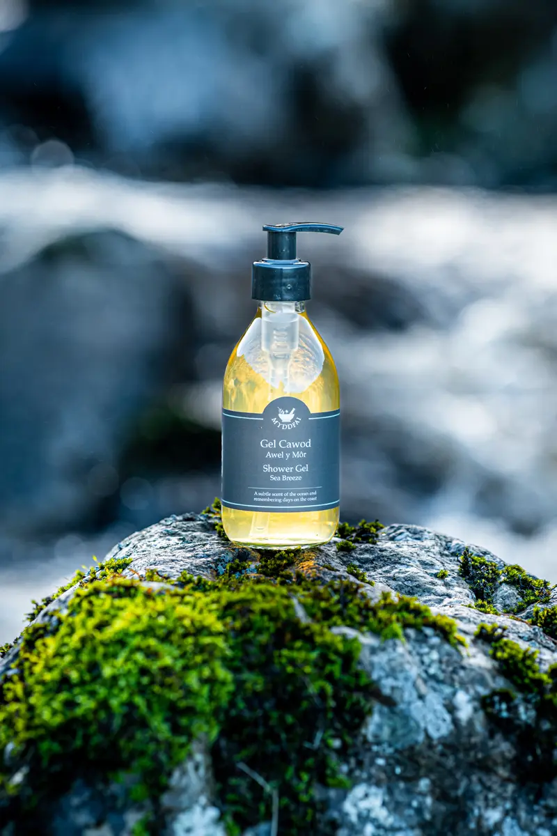 Myddfai Awel Y Mor Shower Gel 250ml | At Portmeirion Online ...