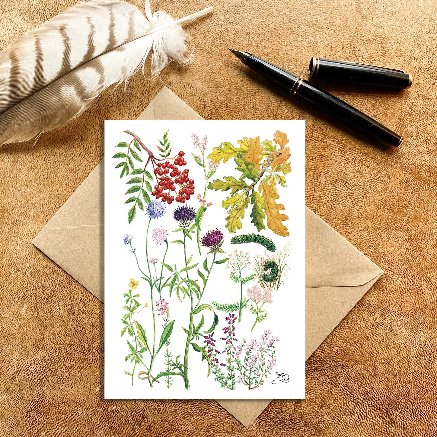 Wildlife by Mouse September Hedgerow Card | At Portmeirion Online ...