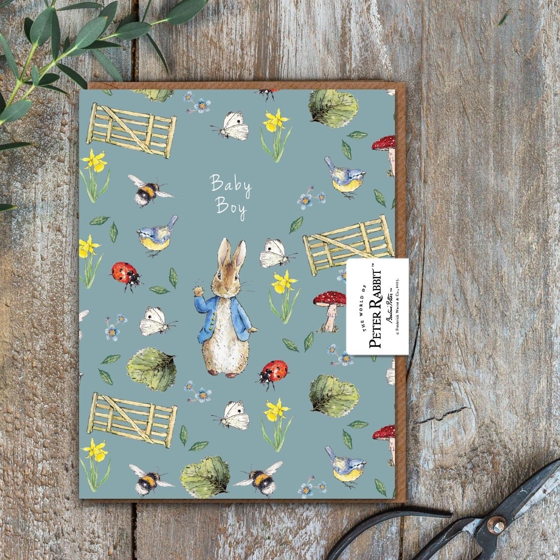 The World of Peter Rabbit x Toasted Crumpet Peter Rabbit Baby Boy Card ...