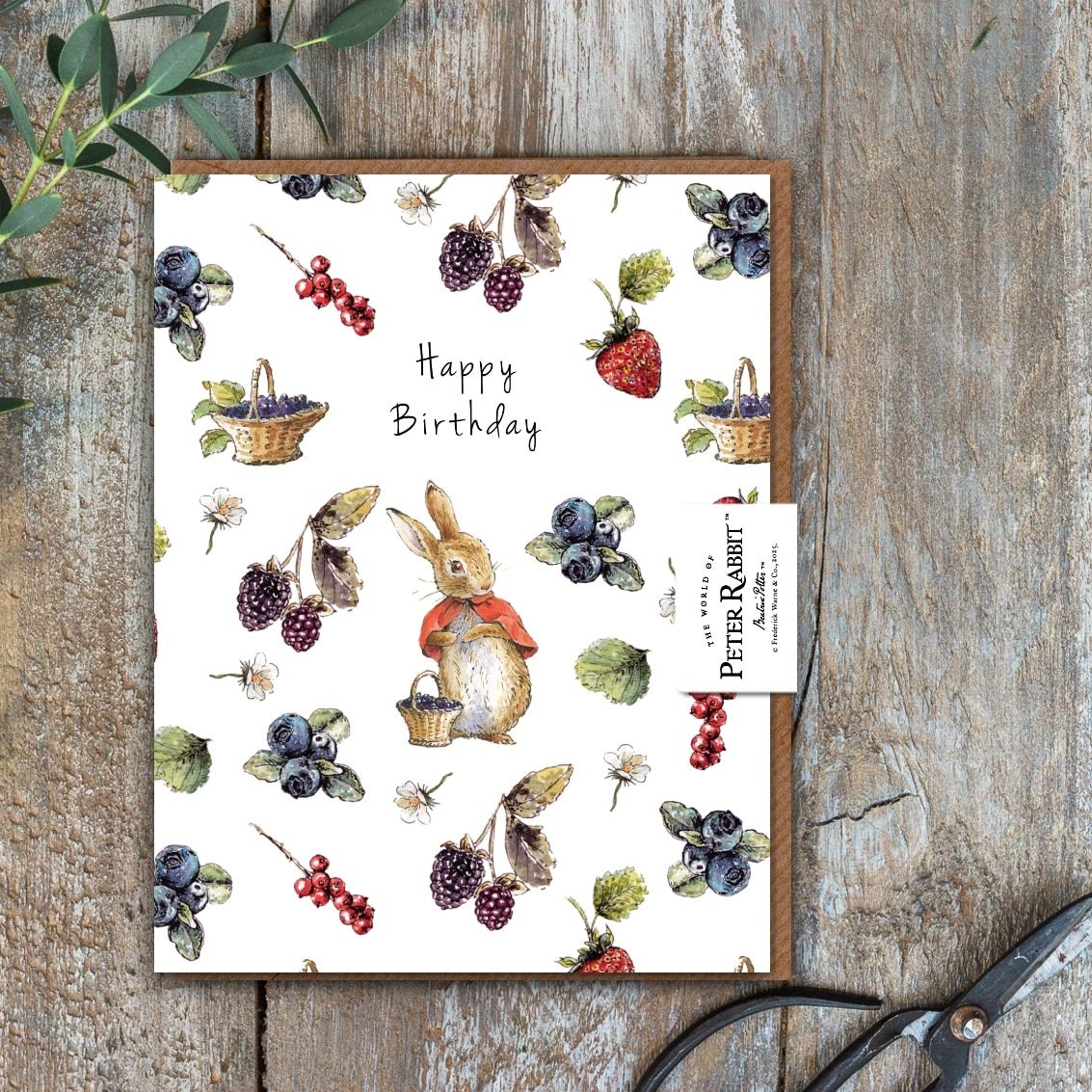 The World of Peter Rabbit x Toasted Crumpet Flopsy Happy Birthday Card ...