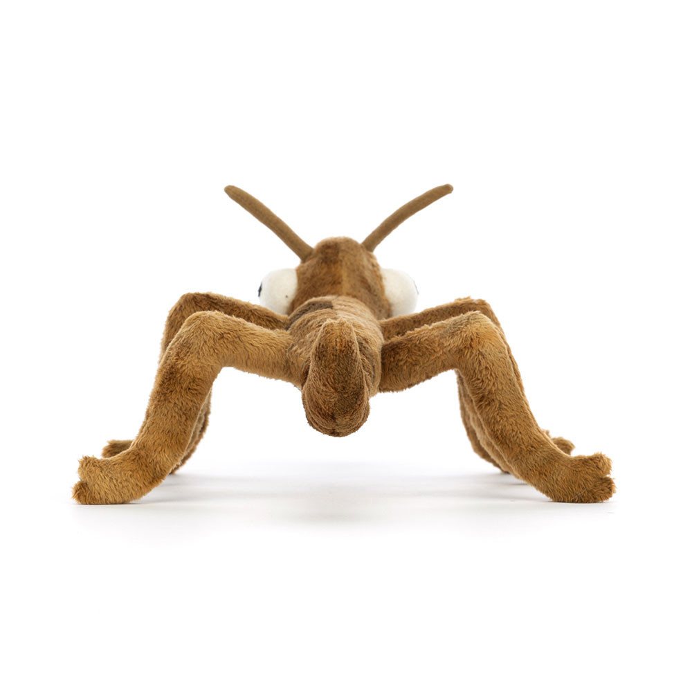 Jellycat Stanley Stick Insect | At Portmeirion Online - Portmeirion Online