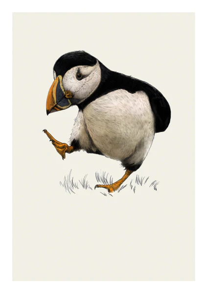 Ben Rothery Puffin Greeting Card | At Portmeirion Online - Portmeirion ...