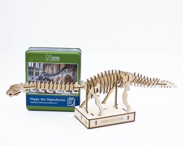Natural History Museum Diplodocus Model Kit | Buy Online Here ...